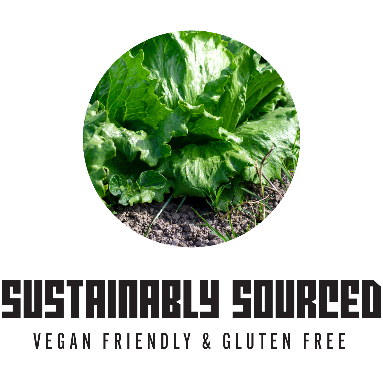 SpacePanda – Space Panda