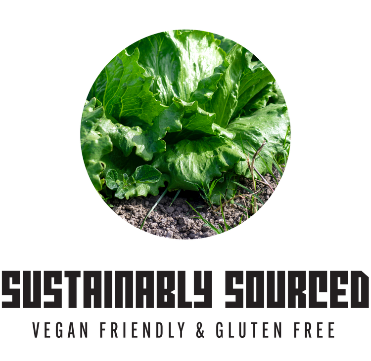 SpacePanda – Space Panda